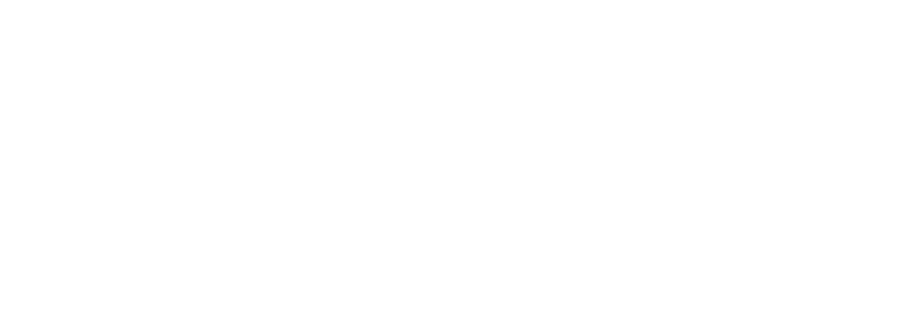 LoadScan | MyScanner Remote Access Service for Load Volume Scanners